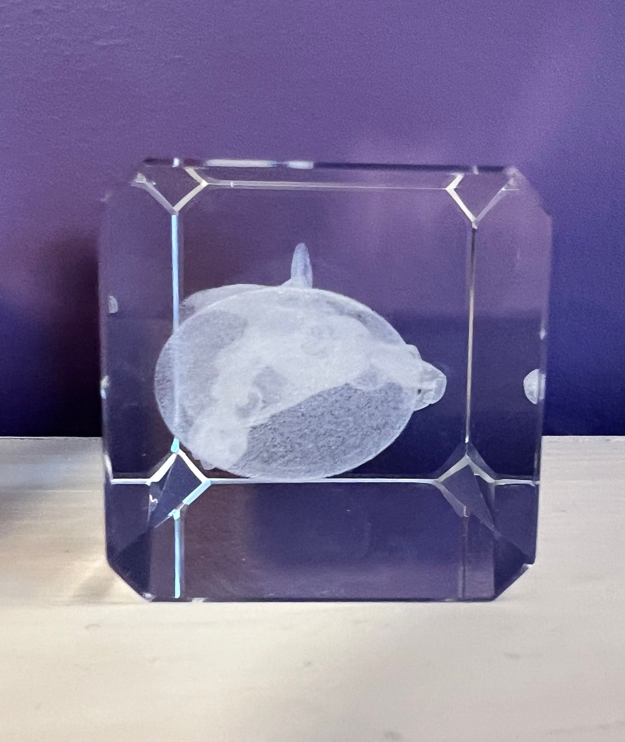 Vintage Laser 3D Etched Cube Crystal Paperweight Disney World - Etsy