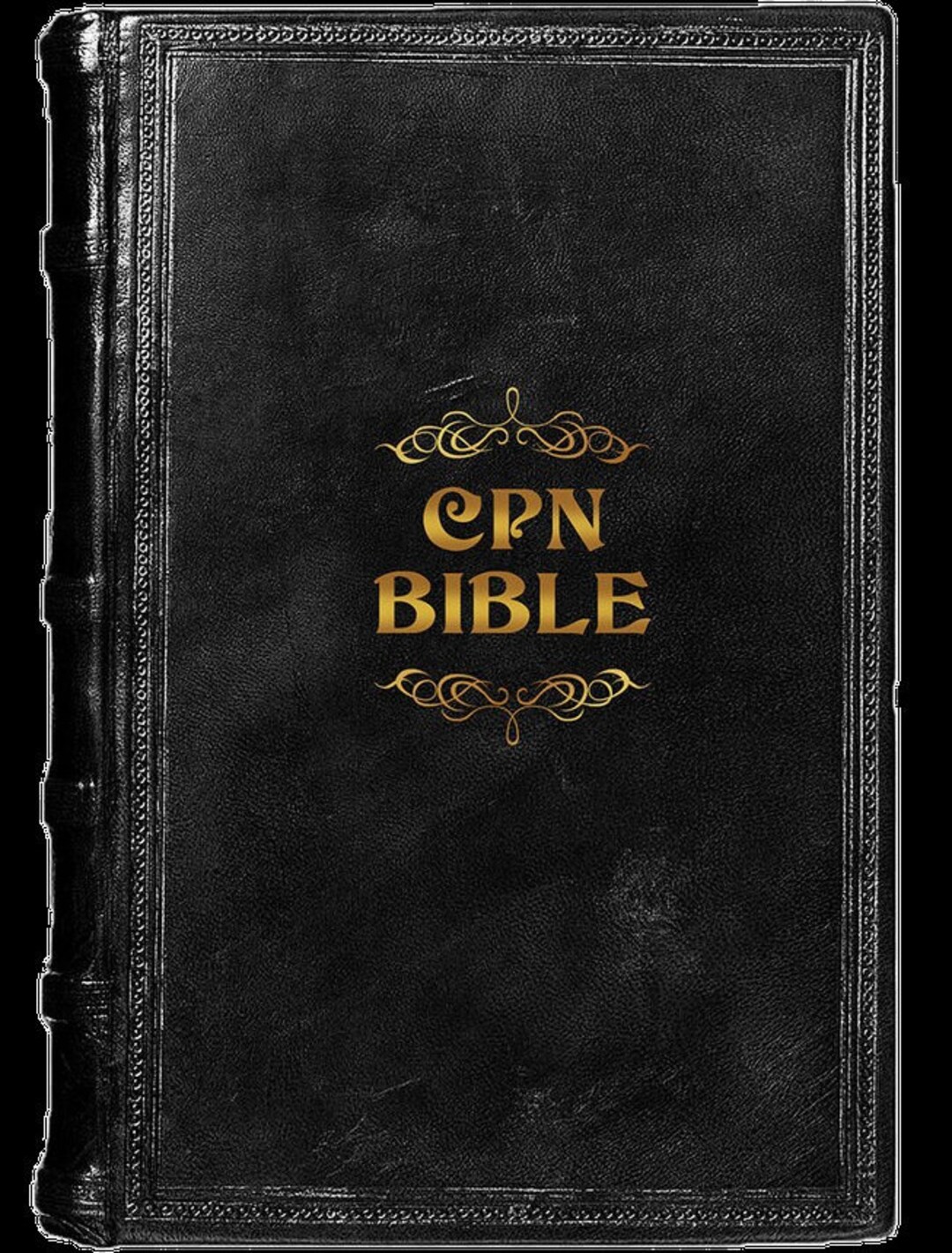 CPN BIBLE | Ebook & Webinar | 6 Figure Credit Profile Number Secrets ...
