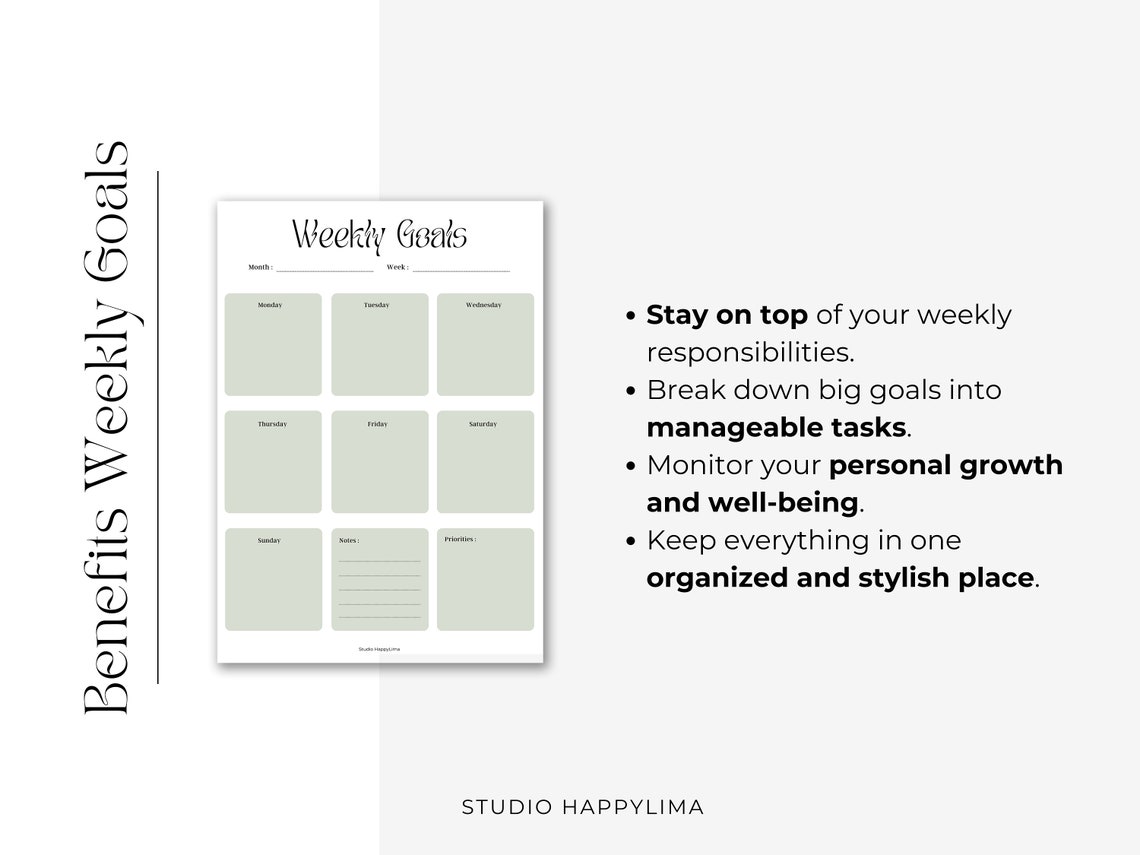 Accomplishment Tracker Printable Professional Development Worksheet ...