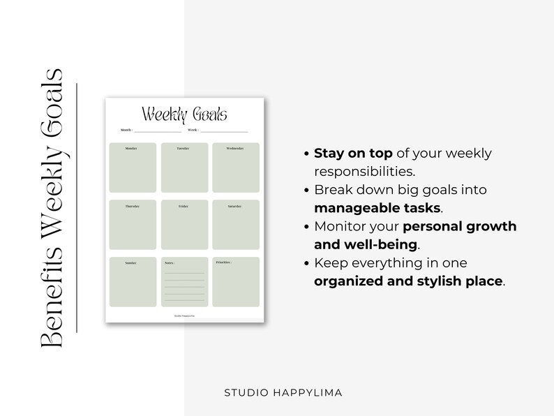 Accomplishment Tracker Printable Professional Development Worksheet ...