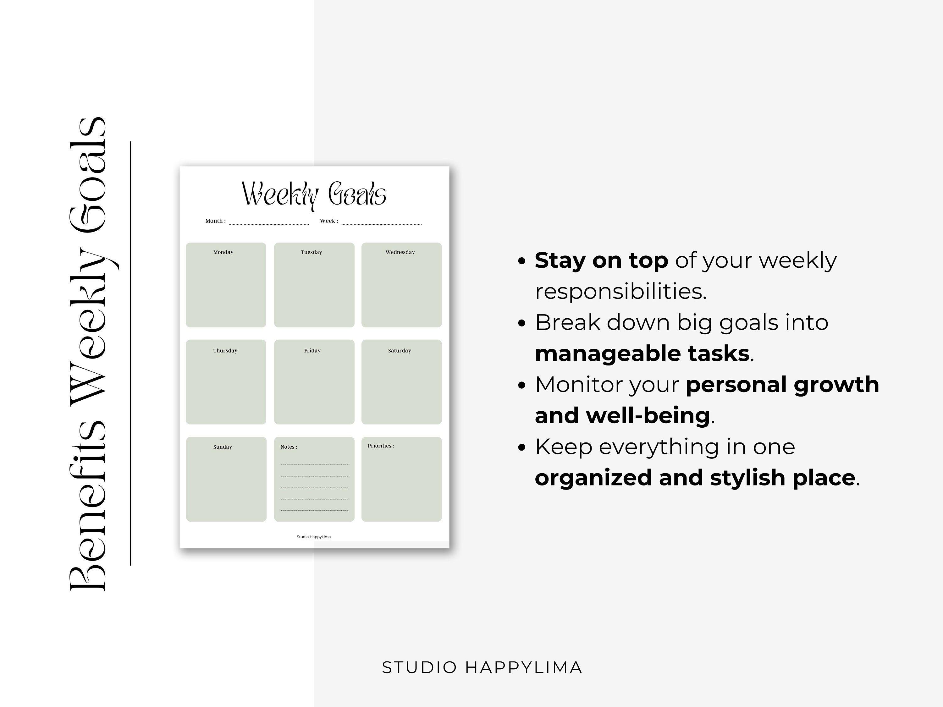 Accomplishment Tracker Printable Professional Development Worksheet ...