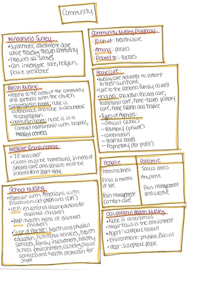NCLEX Notes Community Nursing - Etsy