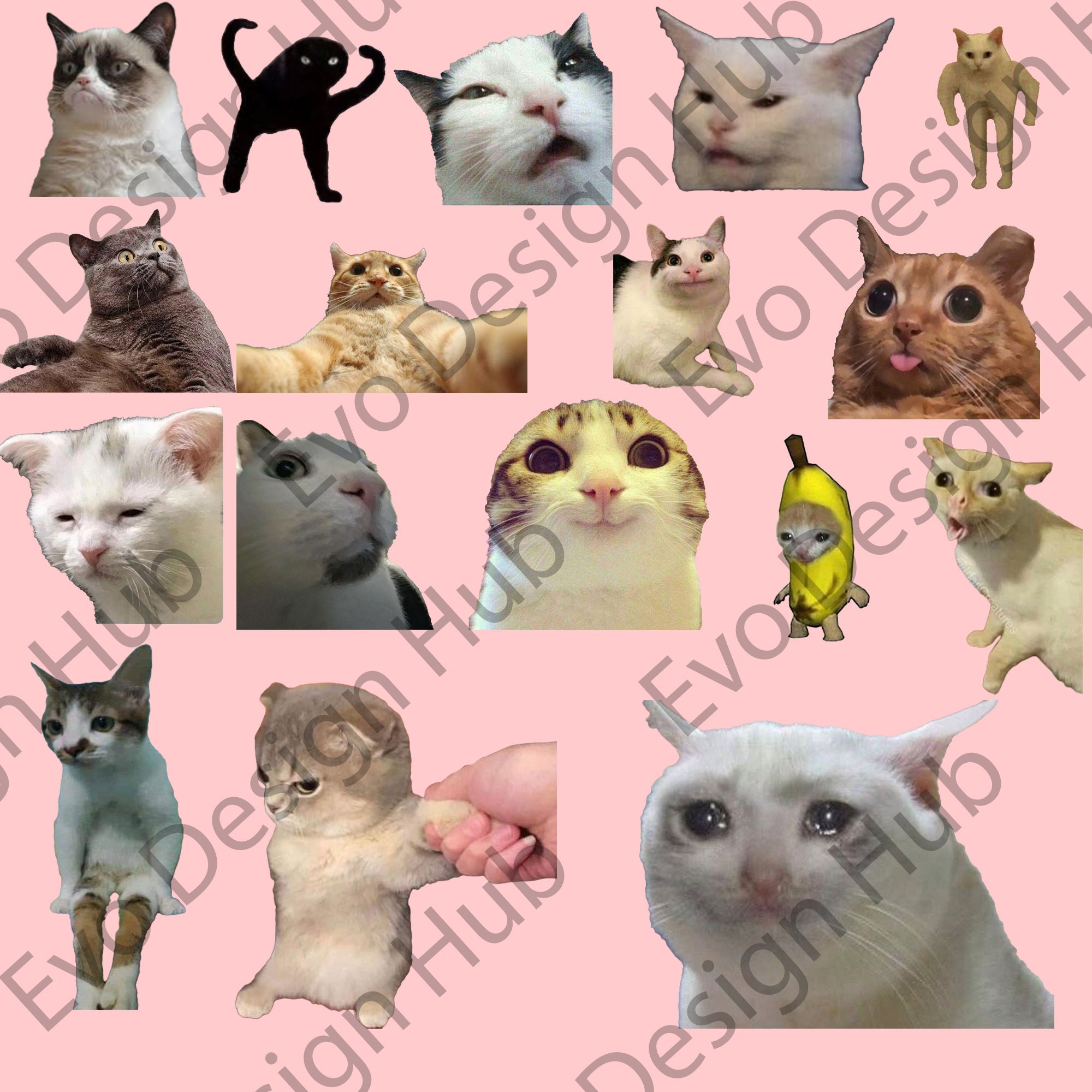 Memes de gatos, imágenes prediseñadas de memes de gatos, más de 40 ...