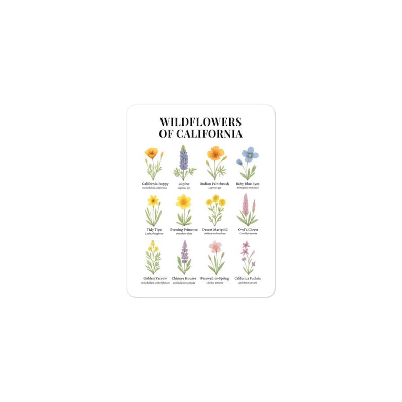 California Wildflowers Vinyl Sticker – Watercolor Floral Decal - Etsy