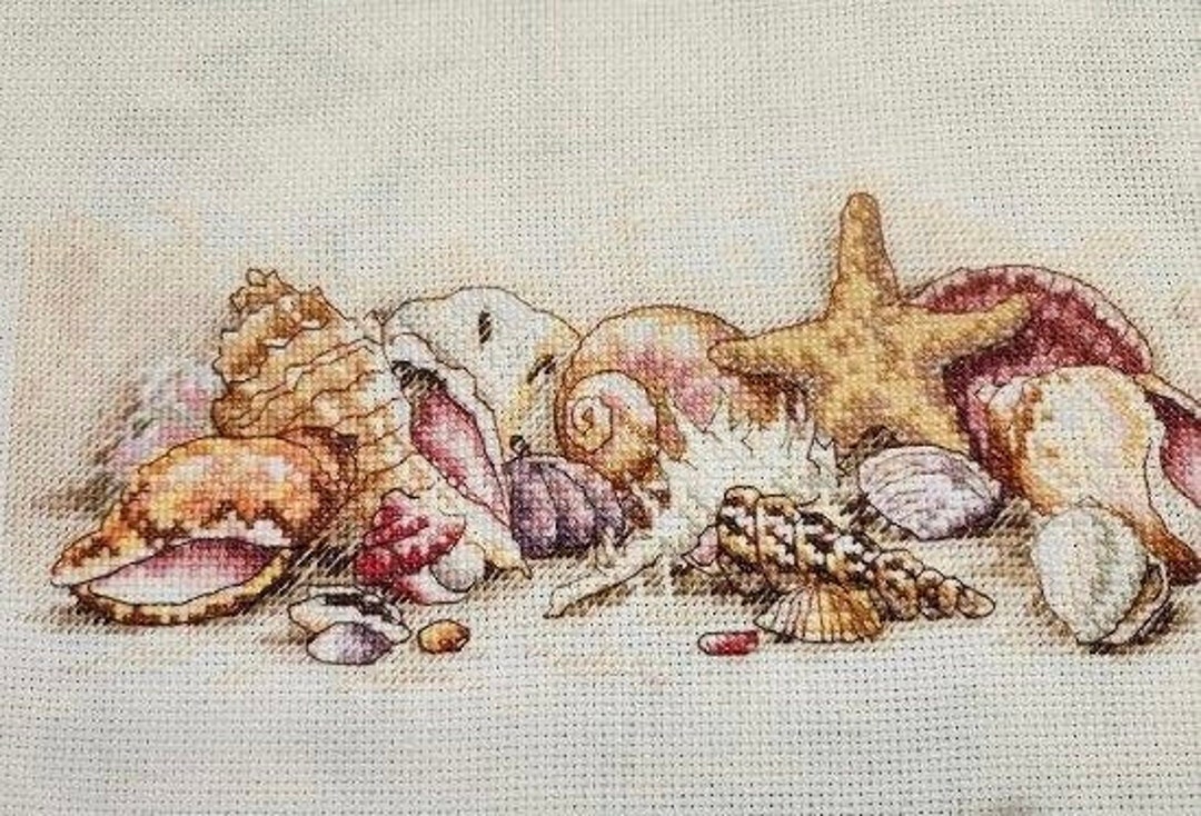 Seashells by the Seashore Cross Stitch Artwork - Etsy