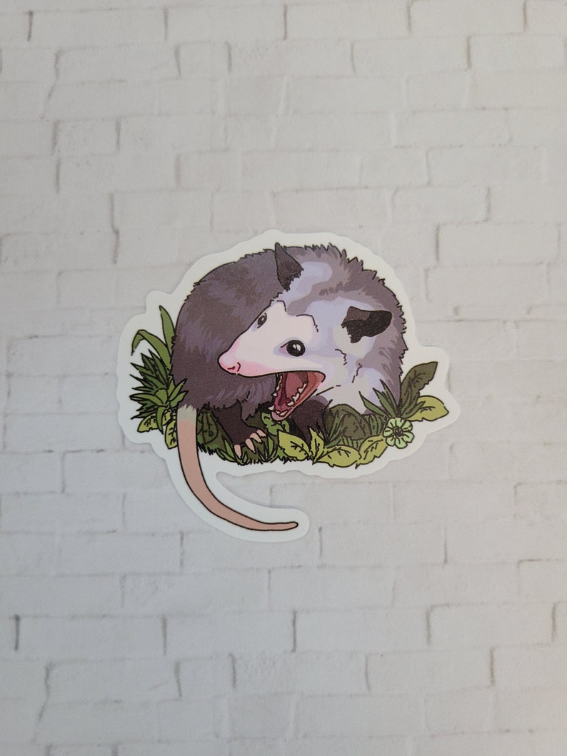 Opossum Sticker/ Water Bottle Laptop Notebook Sticker/glossy - Etsy