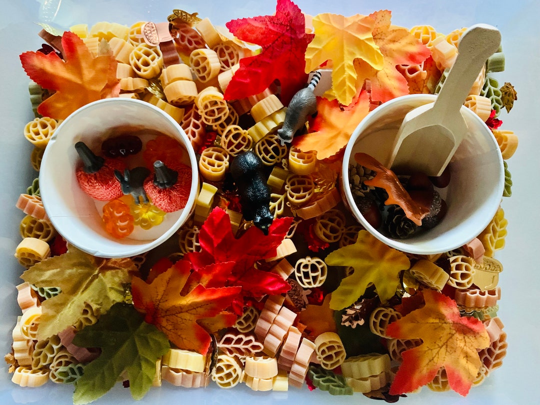 Fall Woodland Animal Sensory Bin - Etsy