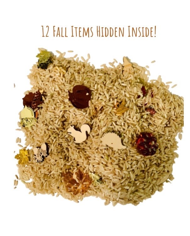 Fall I Spy Sensory Bottle - Etsy