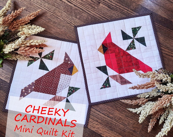 Cheeky Cardinals Mini Quilt Kit & Tutorial - Etsy