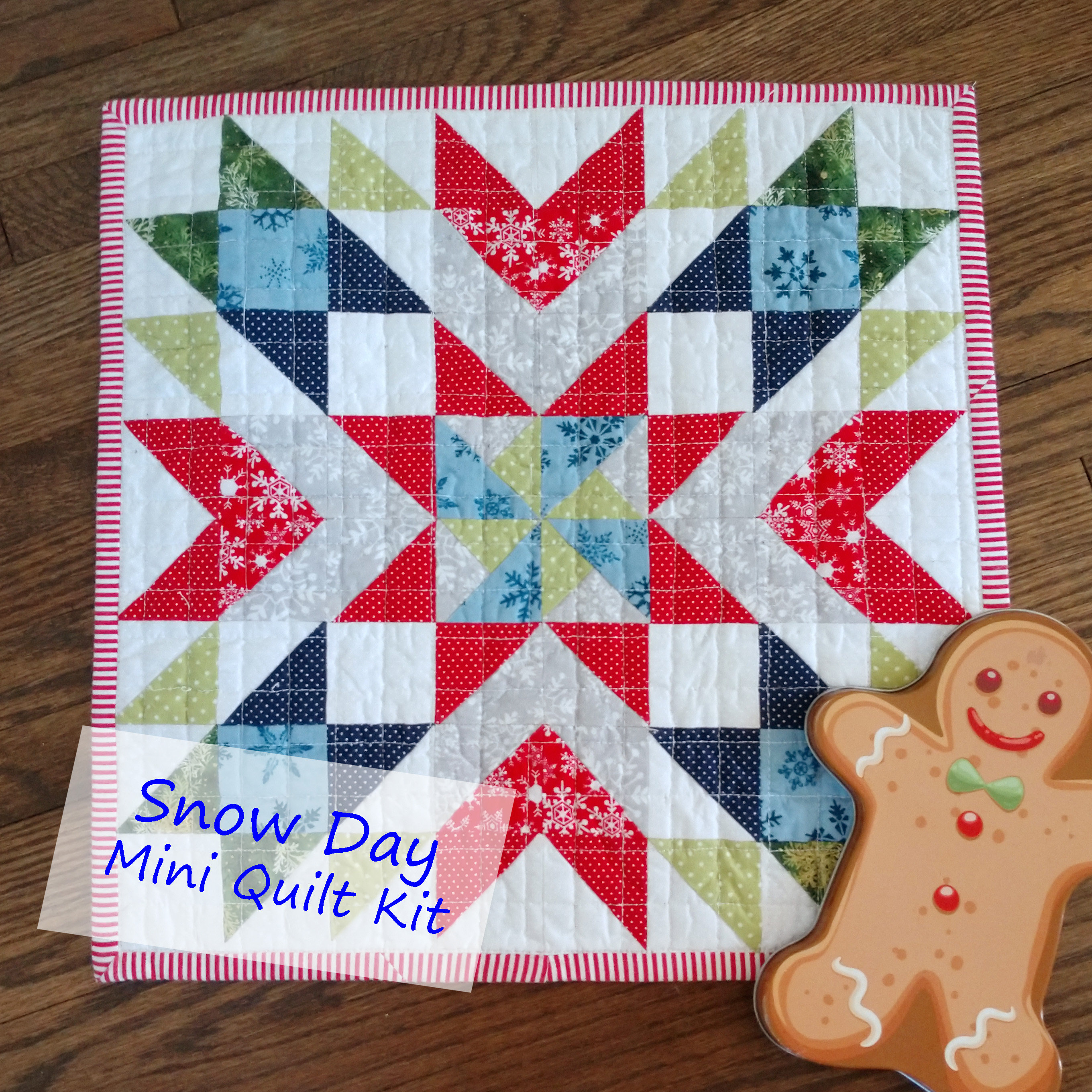 Snow Day Mini Quilt Kit + Pattern - Etsy