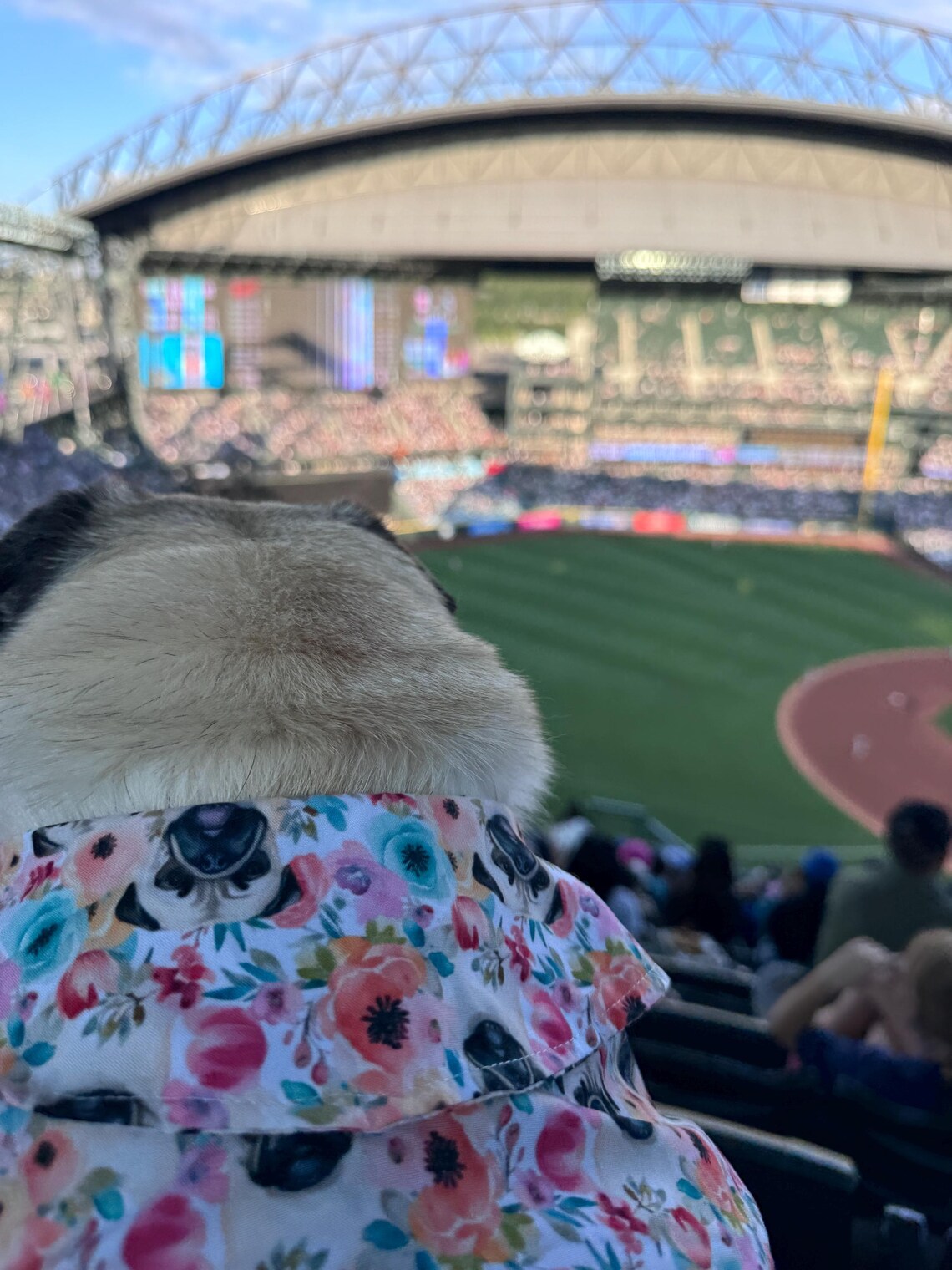 Peony Pug Pet Aloha Shirt - Etsy