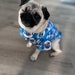 Blue Pug Pet Aloha Shirt, Match the Entire Family, Dog and Cat Hawaiian ...