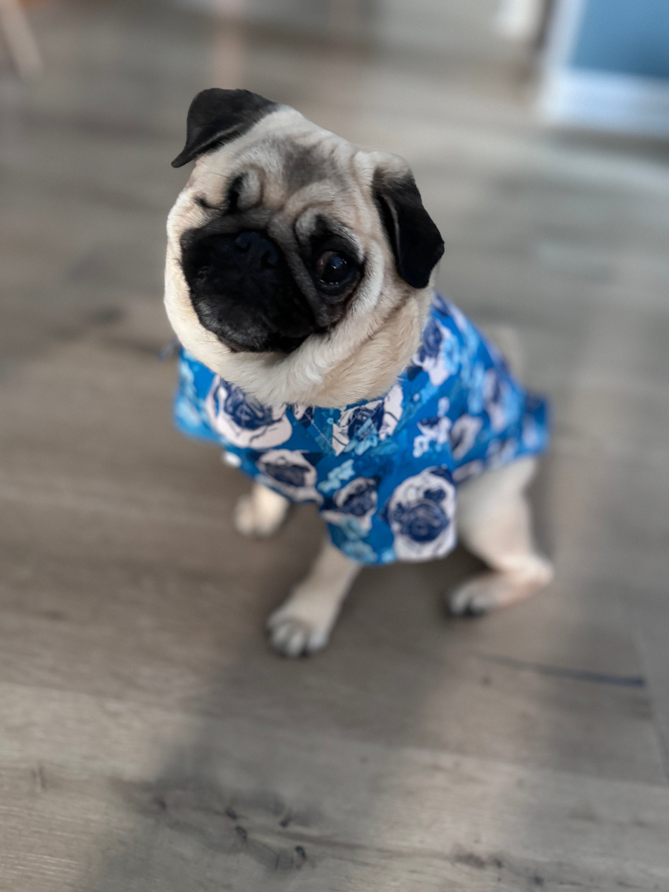 Blue Pug Pet Aloha Shirt, Match the Entire Family, Dog and Cat Hawaiian ...