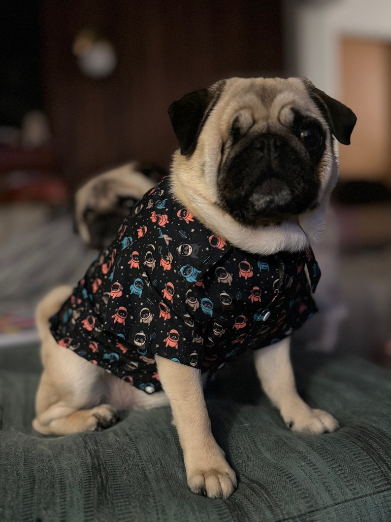Blue Pug Pet Aloha Shirt, Match the Entire Family, Dog and Cat Hawaiian ...