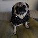 Blue Pug Pet Aloha Shirt, Match the Entire Family, Dog and Cat Hawaiian ...