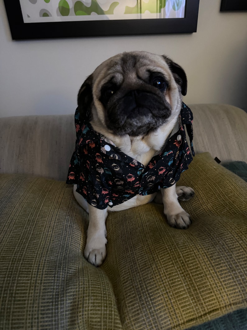 Blue Pug Pet Aloha Shirt, Match the Entire Family, Dog and Cat Hawaiian ...