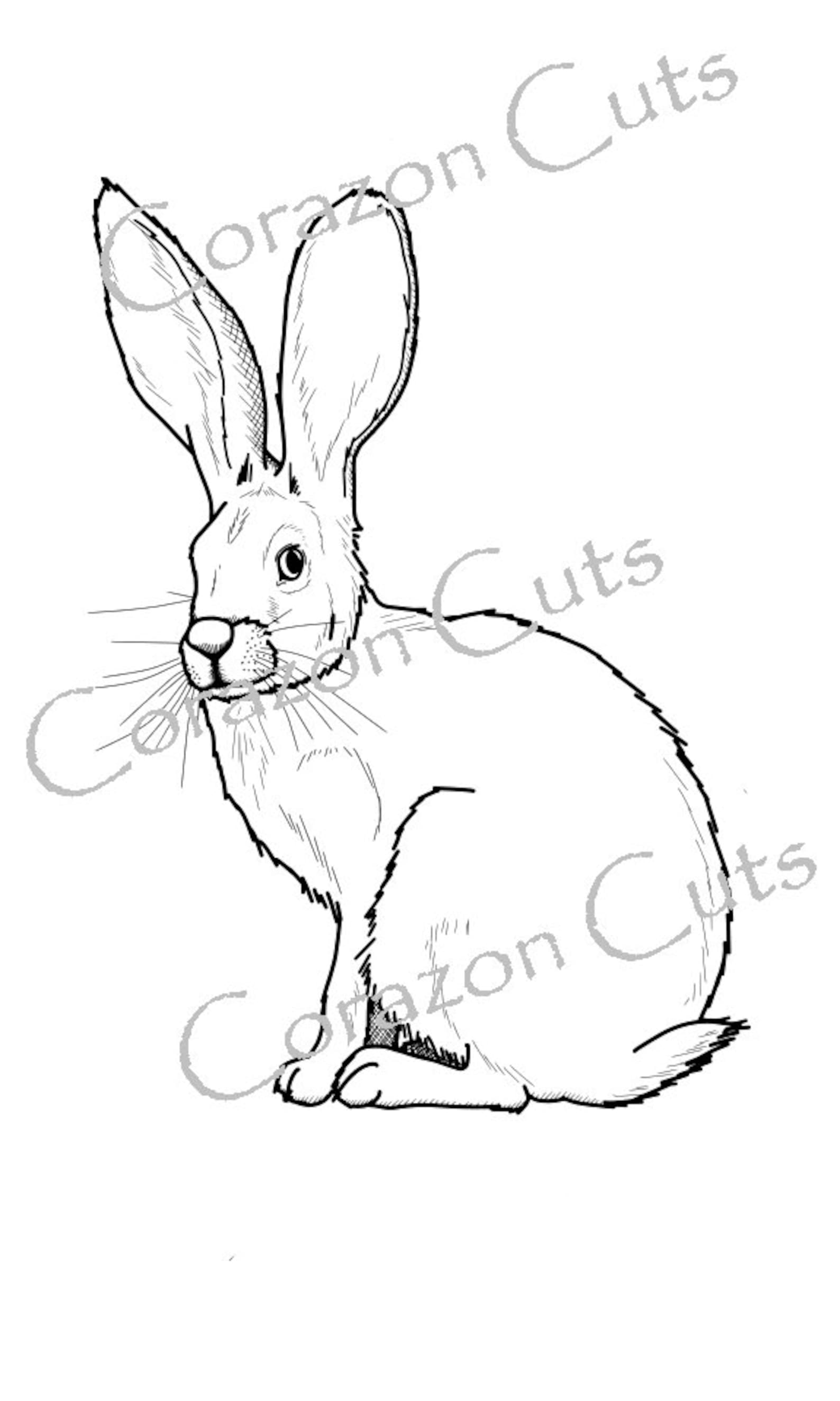 Hase svg spirituelle svg Kaninchen svg Tier svg Hexe svg - Etsy.de