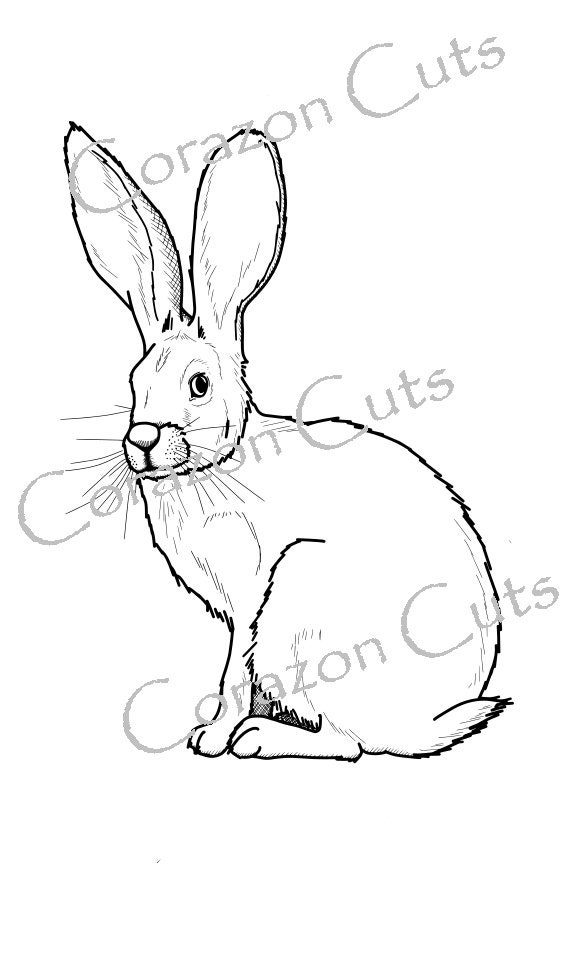Hare Svg Spiritual Svg Rabbit Svg Animal Svg Witch Svg - Etsy