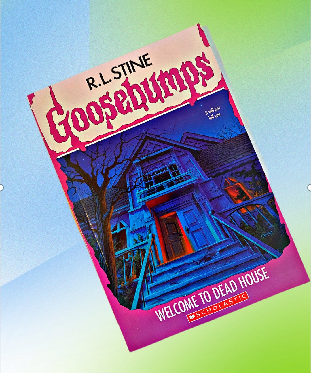 Welcome to Dead House Goosebumps Book, Goosebumps, 90s Gifts - Etsy