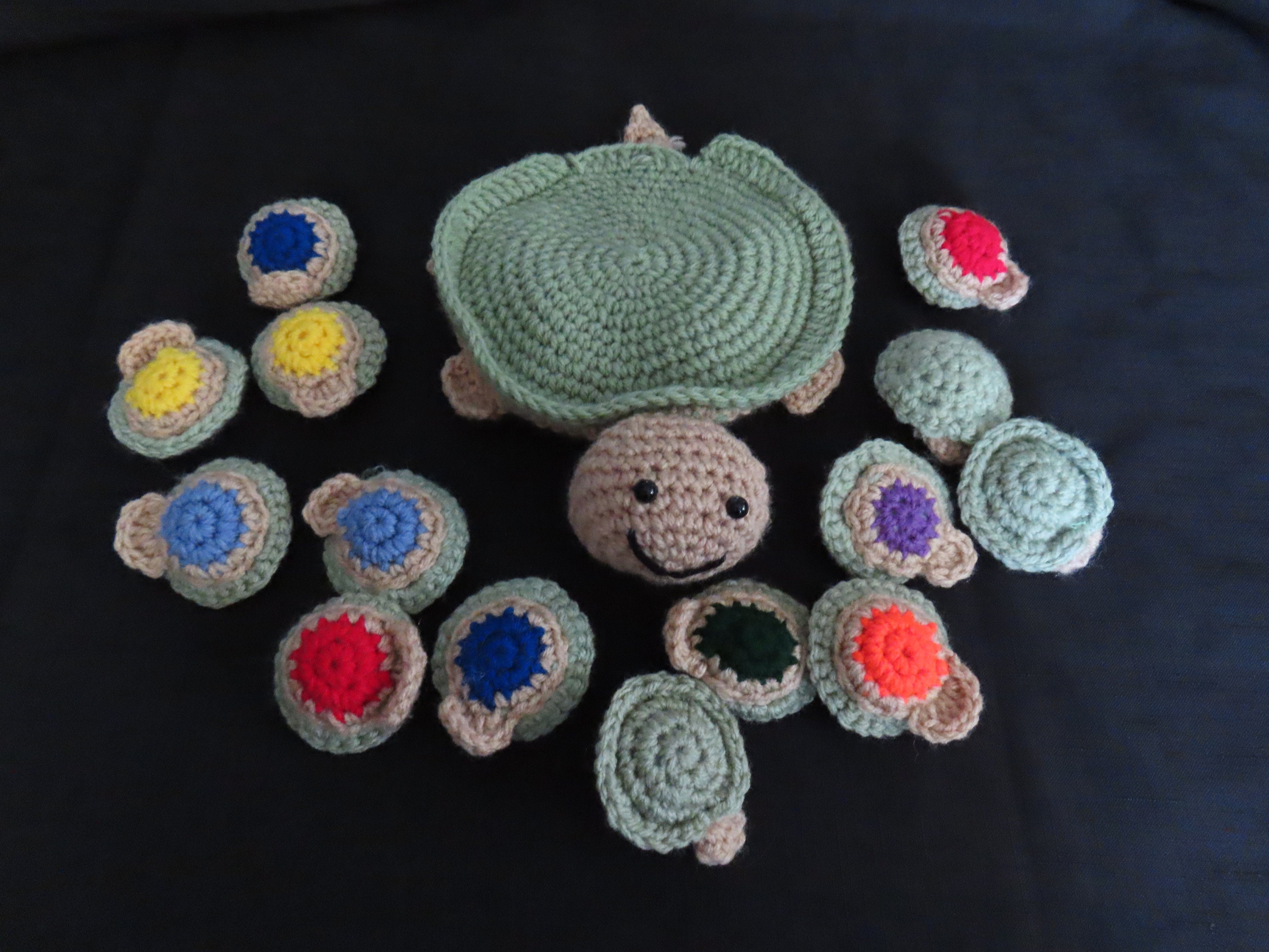 Turtle Matching Game - Etsy