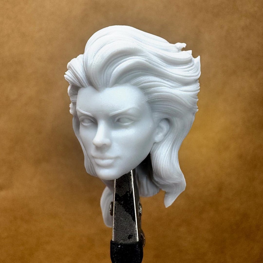 Custom OUTBACK ROGUE Head | 8K Resin Print for Action Figures - Etsy