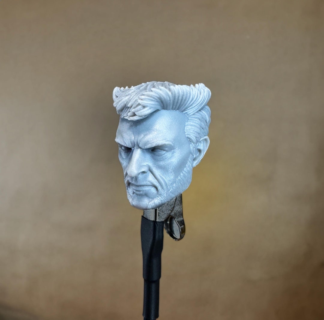 Custom LOGAN Head (hugh Jackman Wolverine) | 8k Resin Print | for 4 ...
