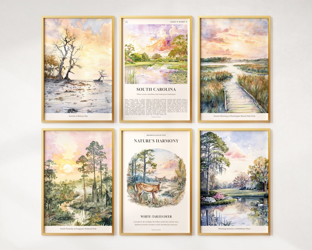 Watercolor South Carolina Prints Set of 6, Colorful South Carolina ...