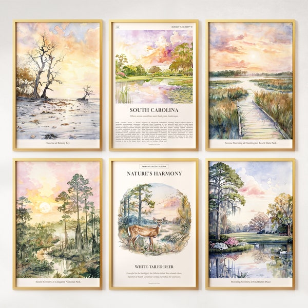 South Carolina Print - Etsy