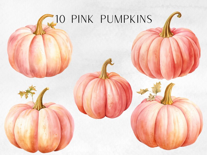 Pumpkin Clipart , Autumn Pumpkins PNG , Commercial Use , Fall Decor ...