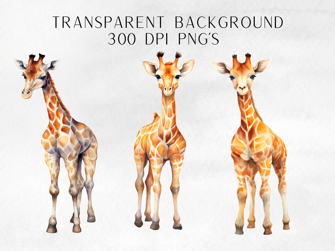 Giraffe Watercolor Clipart, Cute Clip Art for Commercial Use ...