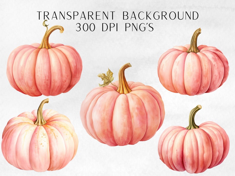 Pumpkin Clipart , Autumn Pumpkins PNG , Commercial Use , Fall Decor ...