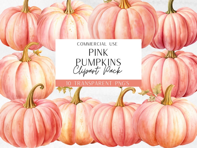 Pumpkin Clipart , Autumn Pumpkins PNG , Commercial Use , Fall Decor ...