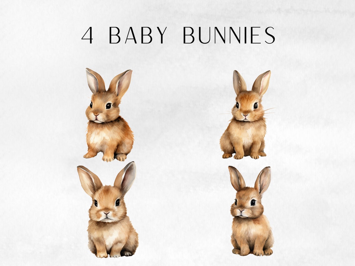 Watercolor Baby Bunnies Clipart Pack, Clipart for Commercial Use ...