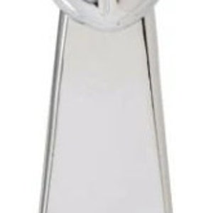 Chrome Football Resin Trophy - Etsy
