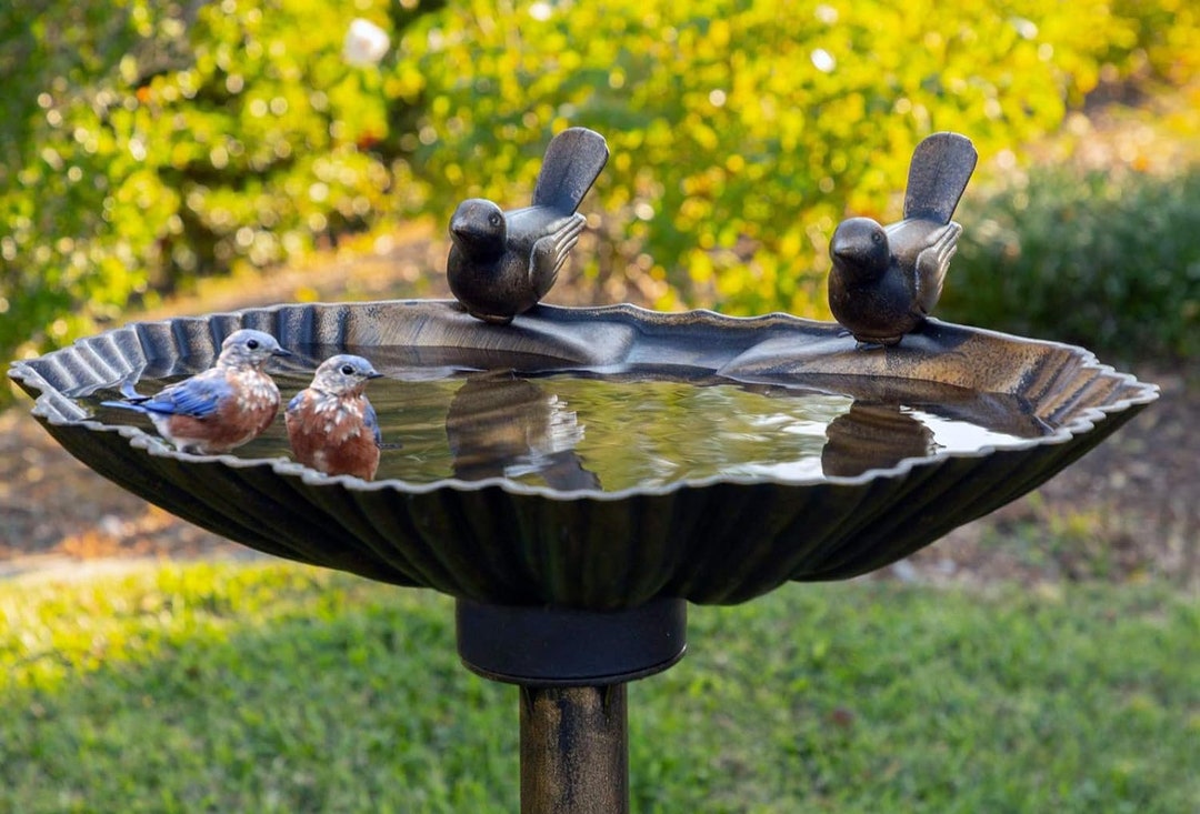 29 Inch Lightweight Antique Bronze Poly Resin Bird Bath With Decorative ...