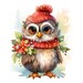 15 JPG Christmas Owl, Watercolour Christmas Clipart, Winter Clipart ...