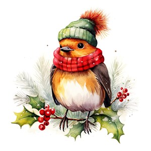 14 JPG Christmas Robin, Watercolour Christmas Clipart, Winter Clipart ...