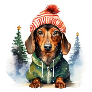 18 JPG Christmas Dachshund, Watercolour Christmas Clipart, Christmas ...