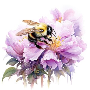 14 JPG Watercolour Bumble Bee, Spring Clipart, Summer Clipart, Animal ...