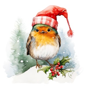 14 JPG Christmas Robin, Watercolour Christmas Clipart, Winter Clipart ...