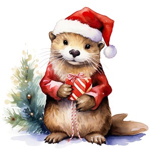16 JPG Christmas Otter, Watercolor Animals, Watercolour Christmas ...