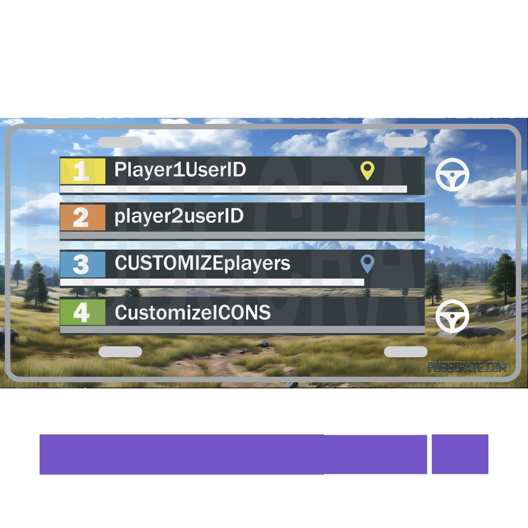 PUBG CUSTOMIZABLE Health Meter Battlegrounds Game Front Vanity License ...