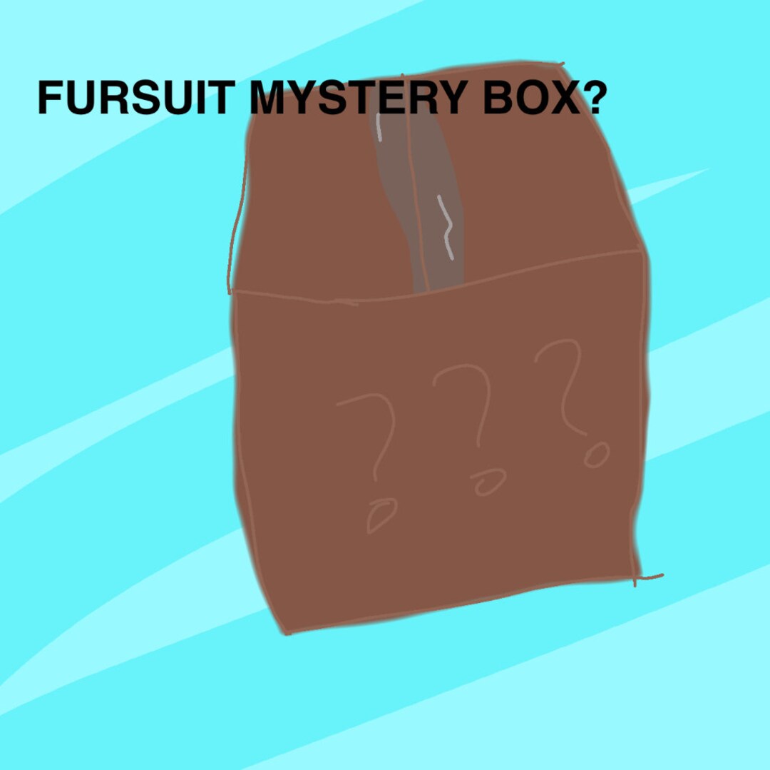 FURSUIT MYSTERY BOX read Description - Etsy Canada
