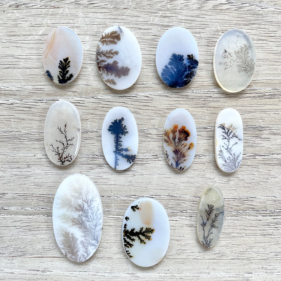 Dendritic Agate Cabochon Lot 20-30mm Scenic Agate Dendrite Agate ...