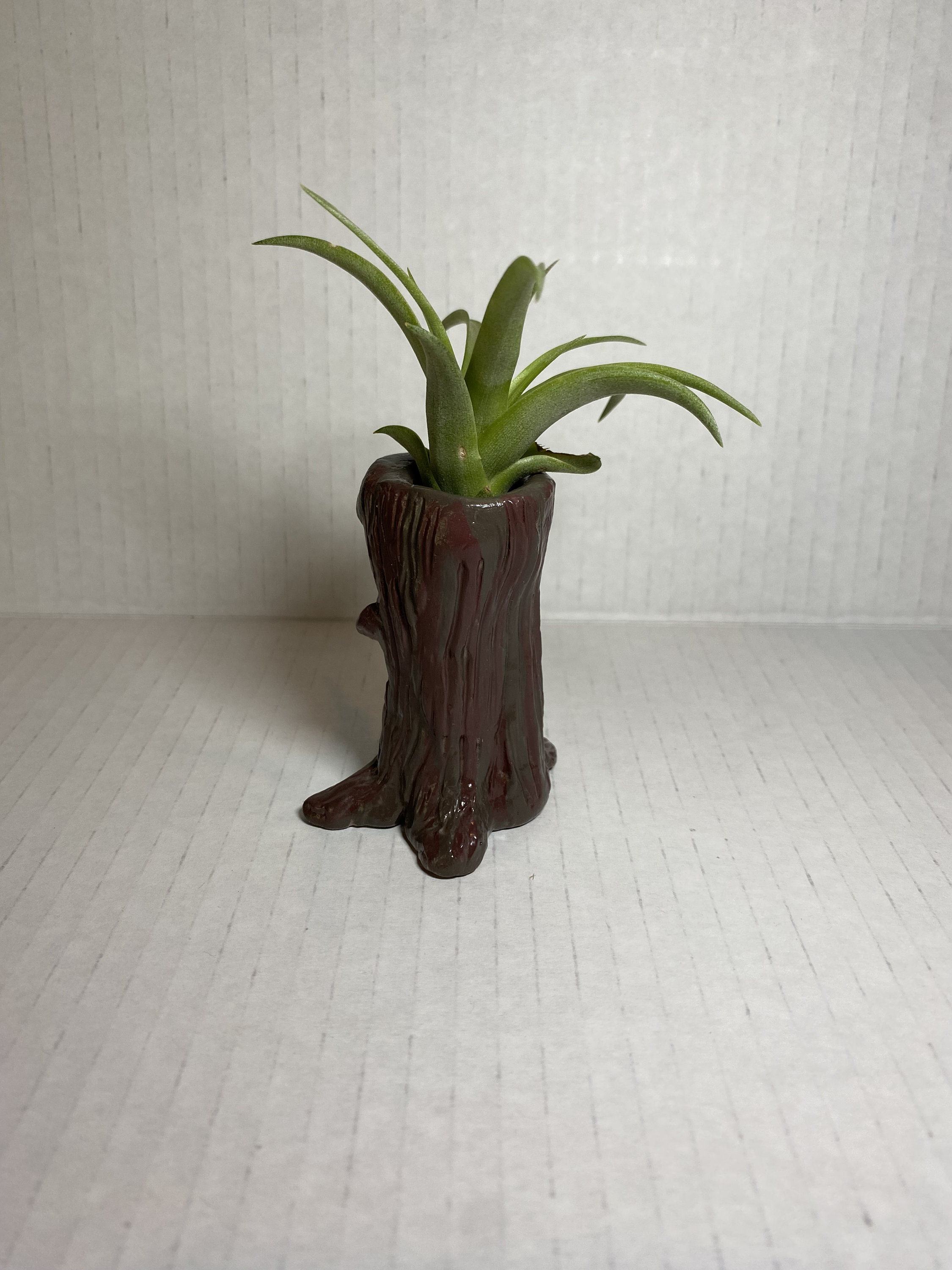 Clay Art Tree Stump Air Plant Holder "chillin" - Etsy