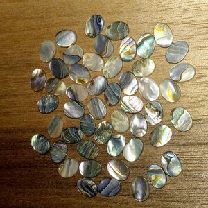 50 Pieces Genuine Abalone Shell Inlay Blanks -oval Shape - 8mm × 6mm × ...