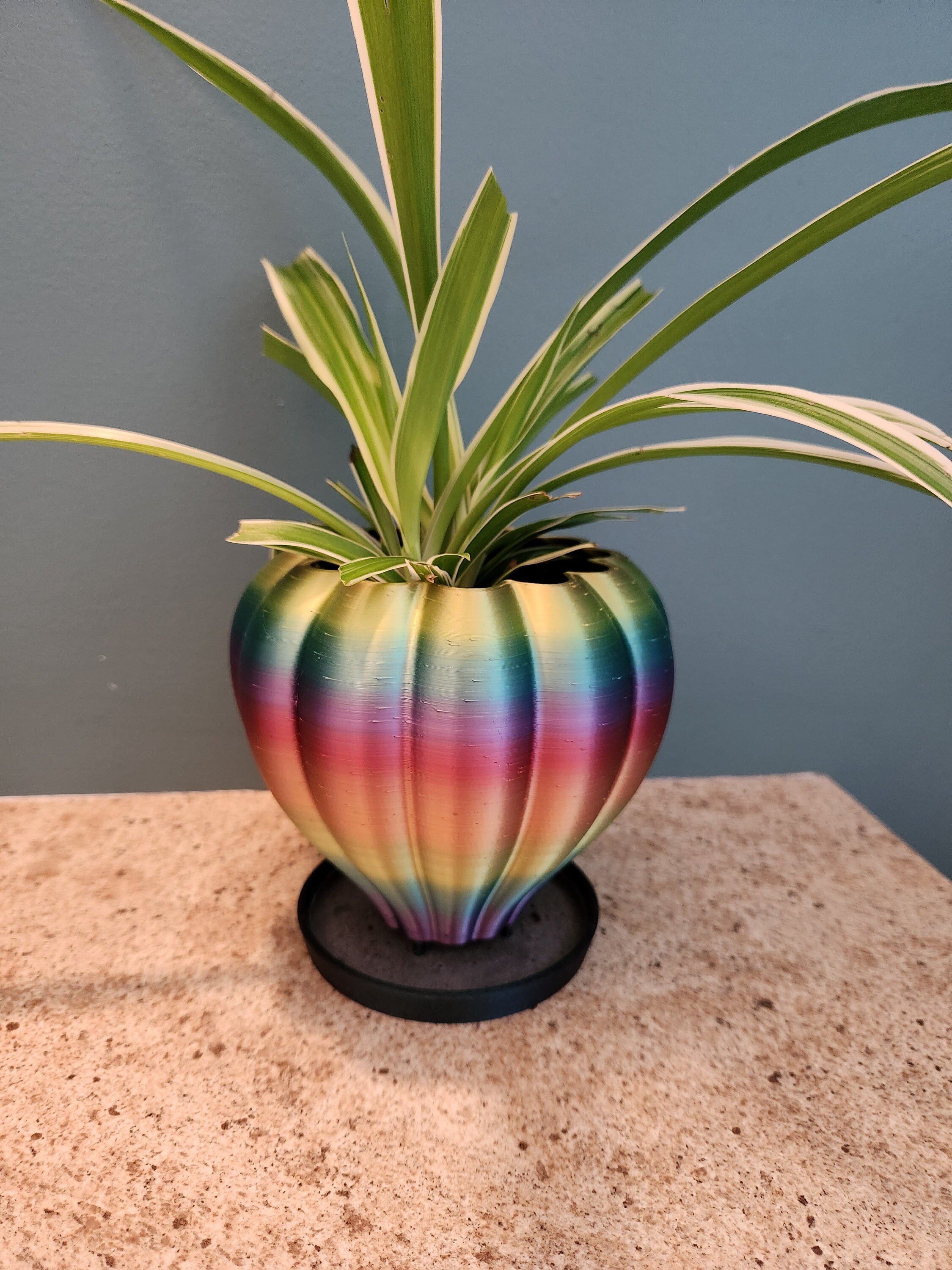 3D Printed Hot Air Balloon Rainbow Flower Pot With Detachable - Etsy
