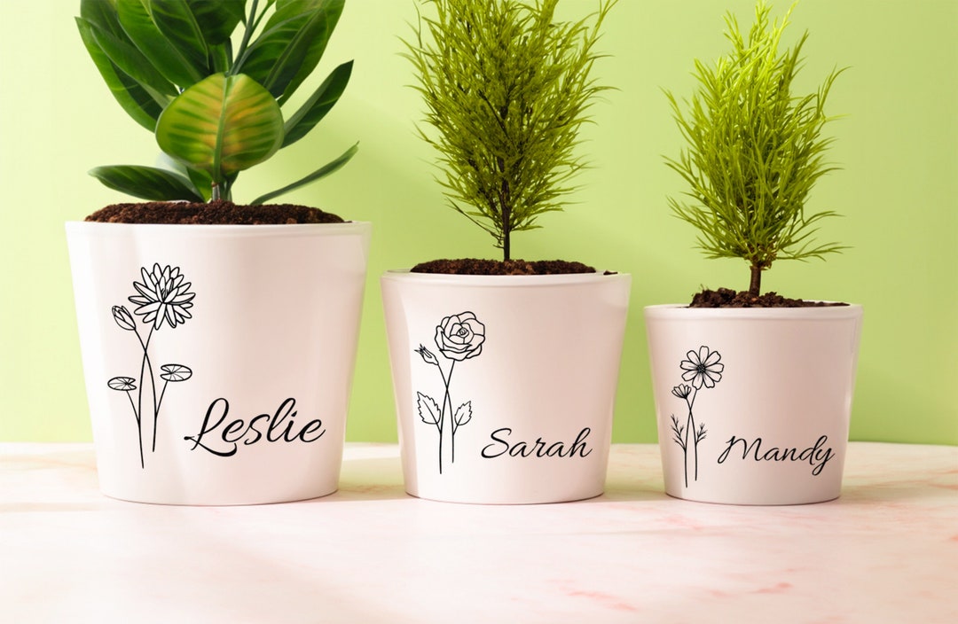 Personalized Birth Flower Plant Pot, Custom Plant Pot, Birth Flower ...