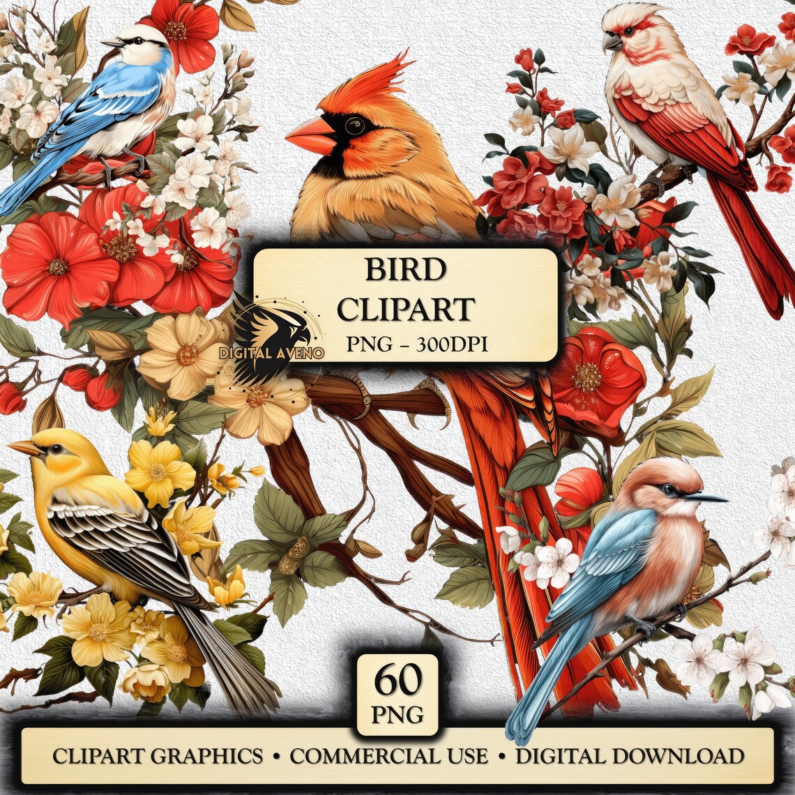 Bird Clipart Collection 60 PNG Images, Spring Birds Clipart, Birds ...