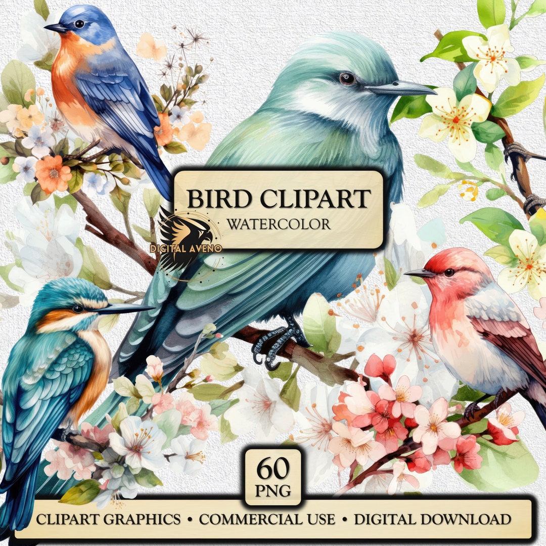 Bird Clipart Collection 60 PNG Images, Watercolor Bird Clipart, Spring ...